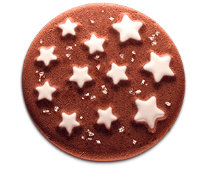 Biscotti di Natale al Cioccolato: dolcetti golosi | Pan di Stelle